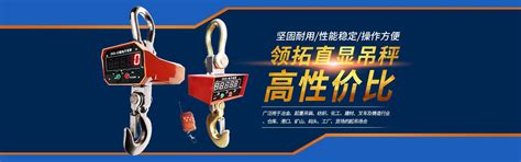 河南领拓称重设备有限公司