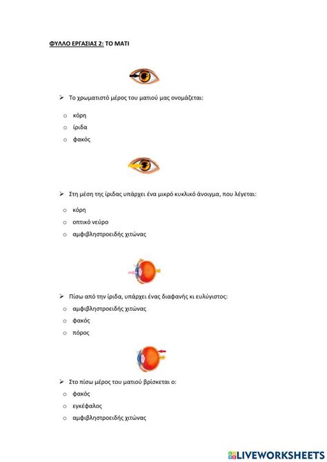 ΤΑ ΜΕΡΗ ΤΟΥ ΜΑΤΙΟΥ Online Exercise For Live Worksheets