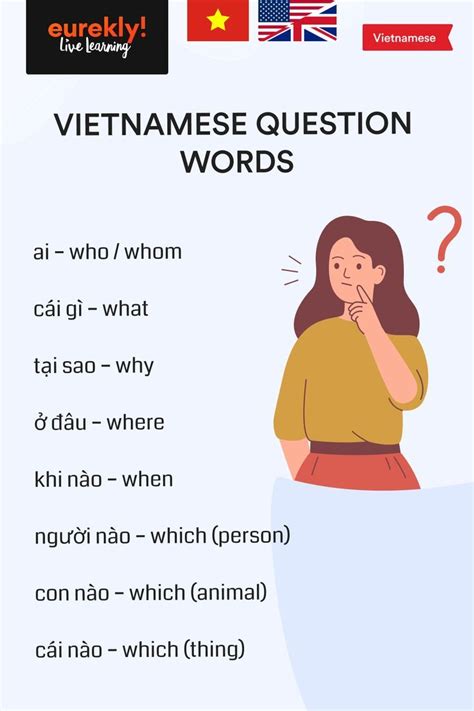 Vietnamese Question Words 🇻🇳 Vietnamese Words Learn Vietnamese Vietnamese Phrases