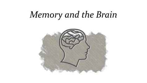 PPT Memory And The Brain PowerPoint Presentation Free Download ID 6108269