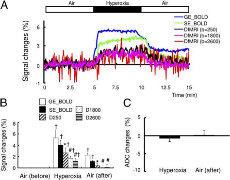 A Time Course Of Bold Ge And Se Diffusion Weighted Mri B 250 Download Scientific