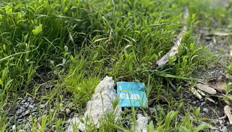 Sex Sjokk I Utro Skog Seks Samtidig