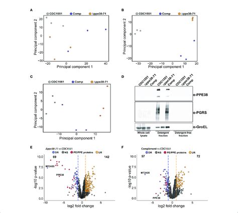 In Vitro Proteomics Of M Tuberculosis Strains Show Partial Download Scientific Diagram