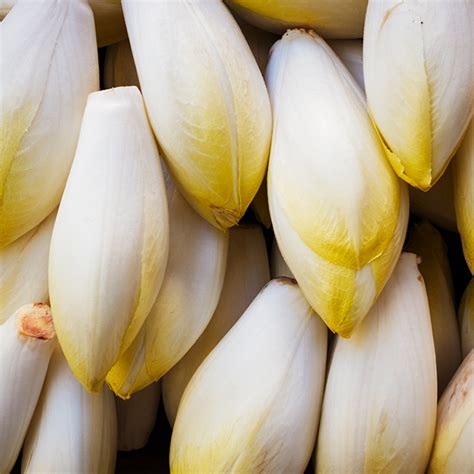 엔다이브 500g 특수채소 식물성