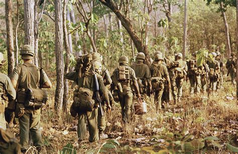 Ambush In The Ia Drang Valley The 1st Cavalrys Grim Fight