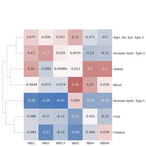 Correlation Between Mutational Signatures And Cell Composition Bulk Download Scientific
