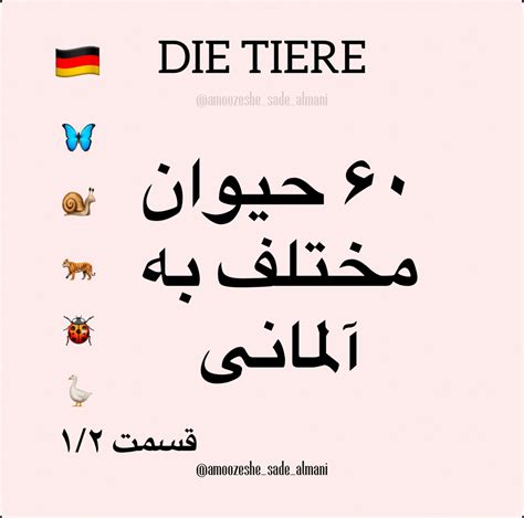 ‎🇩🇪 آموزش زبان آلمانی‎ ‎این پست رو سیو کن و بفرست برای اون دوستت که میخواد زبان آلمانی رو خیلی