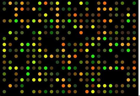 Custom Assay Development Grace Bio Labs