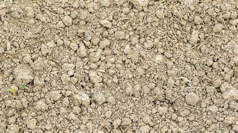 Soil Field Of Bangladesh Cropland Soil Fine Grained Soil Creates An