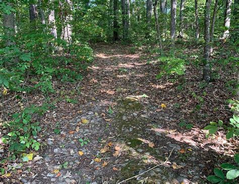 0 Glendale Rd Bybee Tn 37713 Mls 302979 Zillow