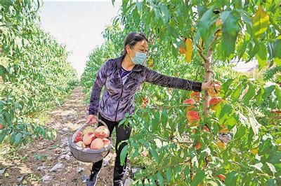 欢度国庆 宁夏新闻网