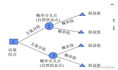 【机器学习基础】决策树（decision tree） 决策树上的损益值 csdn博客