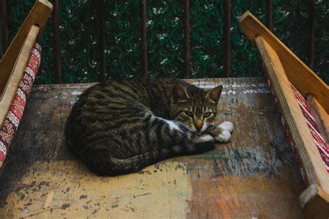 Cutegirlstelegraph Photos Download The Best Free Cutegirls