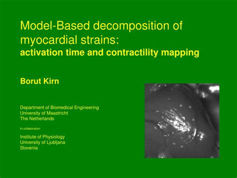 Ppt Model Based Decomposition Of Myocardial Strains Activation Time Ppt Model Based Decomposition Of Myocardial Strains Activation Time