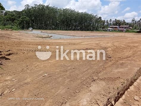 කඩුවෙලින් වාසි රැසක් සමගින් ඉඩමක් විකිණීමට Ikman