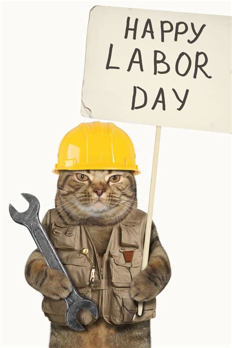 Labor Day Meme Funny