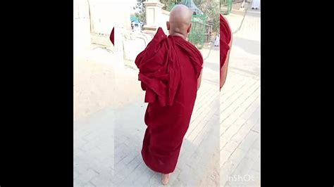 කිරි පිඩු දානය පූජා කිරීම ශ්‍රි මහා බෝධින් වහන්සේට Youtube