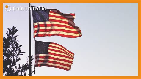 decodificare il mercato delle criptovalute un confronto approfondito tra bull flag vs bandiere