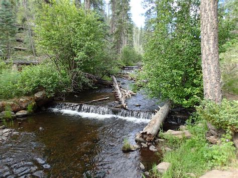 Arizona Hiking Government Springs Greer