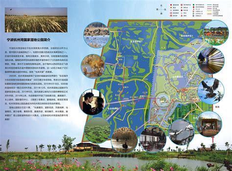 线路攻略 浙江杭州湾国家湿地公园
