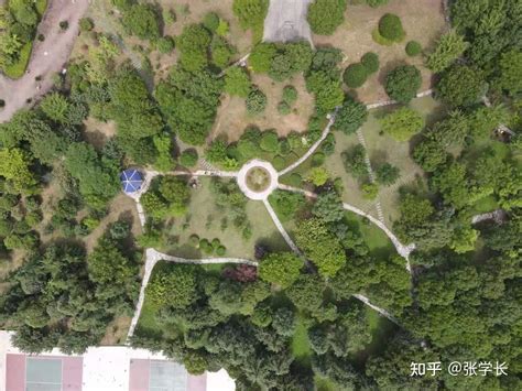 武汉工程科技学院 知乎