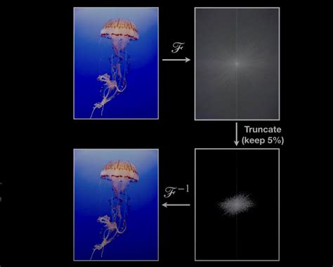 【method】稀疏与压缩感知 图像稀疏性及压缩感知方法白话讲解稀疏感知 Csdn博客