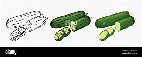 Flat Vector Green Fresh Whole And Sliced Cucumber Set Design Template Of Fresh Cartoon Cucumber
