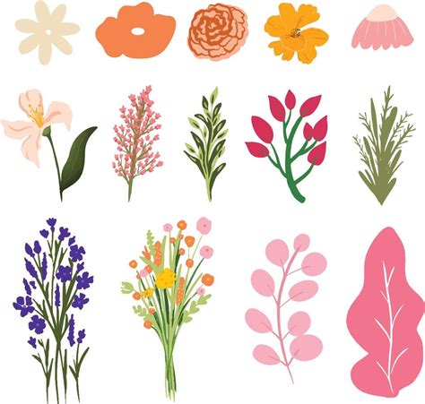 Hand Drawn Spring Flower And Leaf Collection Vector Illustration Vector Art At Vecteezy