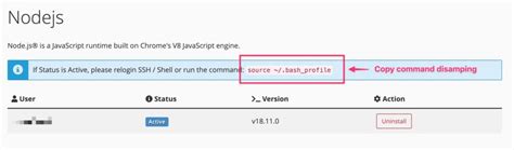 Cara Install Nodejs Di Hosting Domainesia
