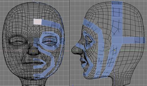 Blendermodéliser Un Visage à Partir Dun Modèle 3d — Centre De Ressources Numériques Labomedia