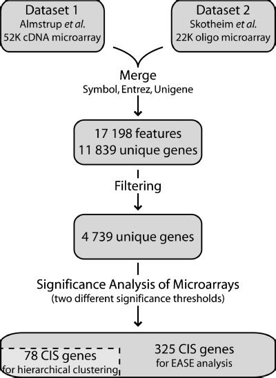Flow Diagram Of The Merge Filtering And Analysis Of The Two Dataset Download Scientific