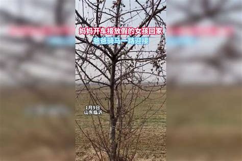 又飒又帅爸爸策马扬鞭迎接大学放假的女儿 爸爸 大学 女儿