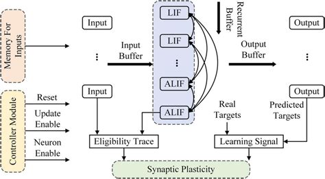 Overview Of The Rsnn Architecture Implemented On Fpga Download Scientific Diagram