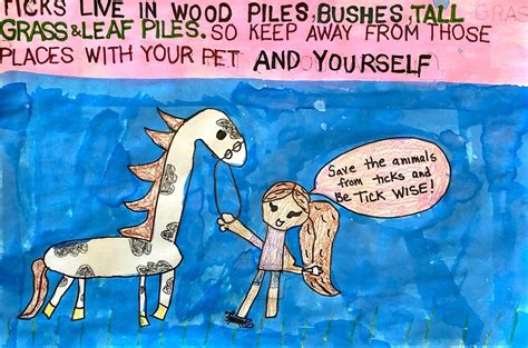 Lyme Poster Gallery Grade 4 Mecdc Maine Dhhs