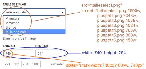 WordPress Blocs Image Et Optimisation Srcset Code Colibri
