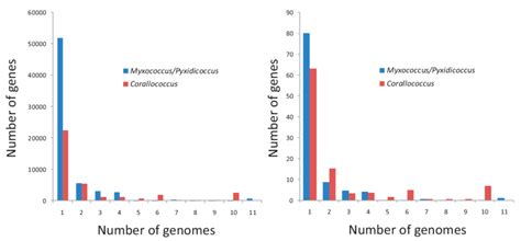 Corallococcus Spp And Myxococcus Pyxidicoccus Spp Genes As A Download Scientific Diagram