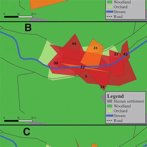 A Home Ranges 100 Minimum Convex Polygon B Mean Daily Download Scientific Diagram
