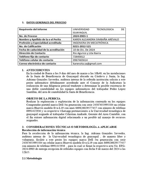 Formato De Informe Pericial1 Pdf Testigo Experto Archivo De