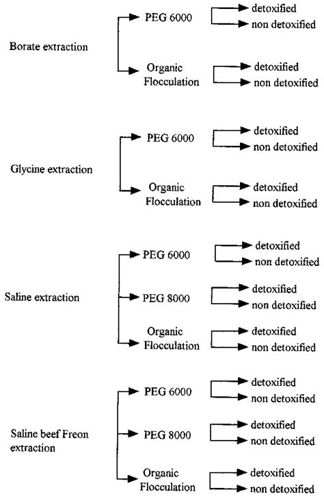 Procedures Used For Extraction And Concentration Of Viruses From Mussel Download Scientific
