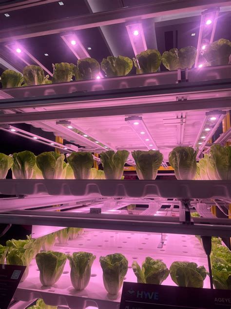 Applieddatafellowship Dataanalytics Cookcounty Applied Data Fellowship