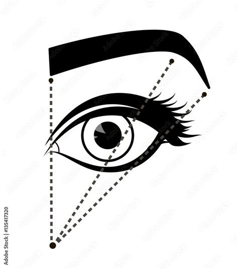 Monochrome Scheme Of Ideal Proportions Eyebrows And Eyes Tutorial How To Shape The Eyebrow On