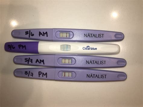 Natalist Ovulation Test Cvs At Trent Lopez Blog