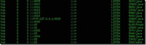 Linux 查看服务启动 以及端口占用linux查看启动的服务及端口 Csdn博客