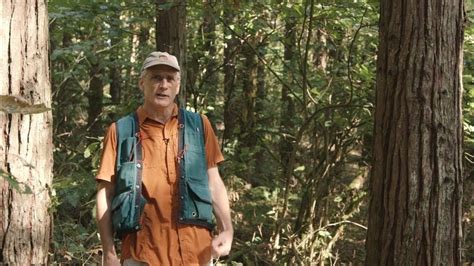 Module 4 Topic 1 Youtube