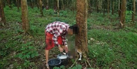 ကျိုက်ထိုမှာ ခြံလုပ်သားတွေရဲ့ ကိုယ်ရေးအချက်အလက်ကို စစ်ကောင်စီ ကောက်ယူနေ