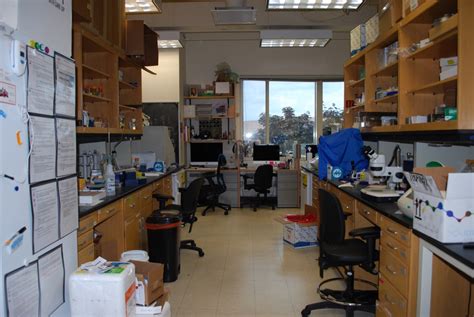 andersen lab our lab