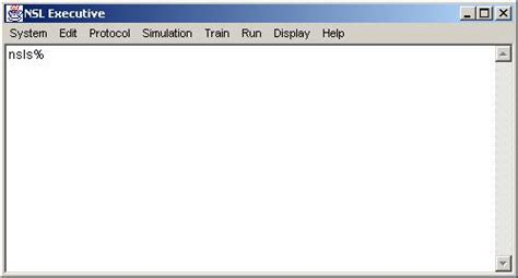 Neural Simulation Language Documentation