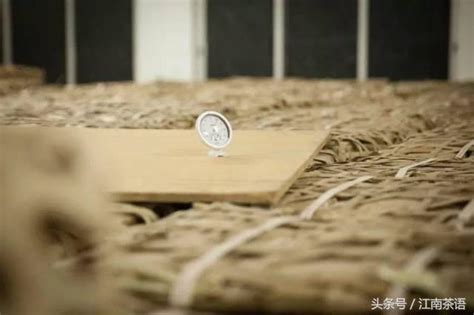 從新茶到十年陳普洱茶都經歷了什麼 每日頭條