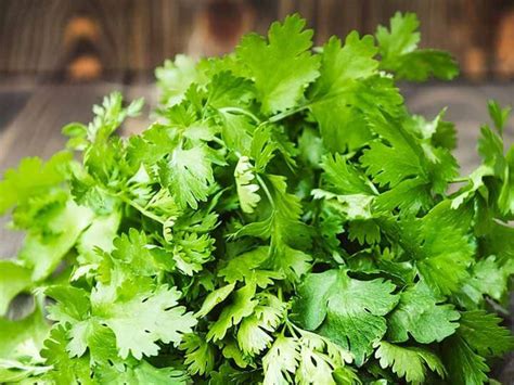 Bread Chilli Recipe बच्चों के लंच बॉक्स की टेंशन अब खत्म 15 मिनट में