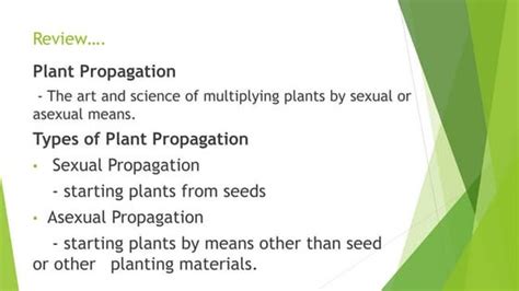 Asexual Propagationpptx